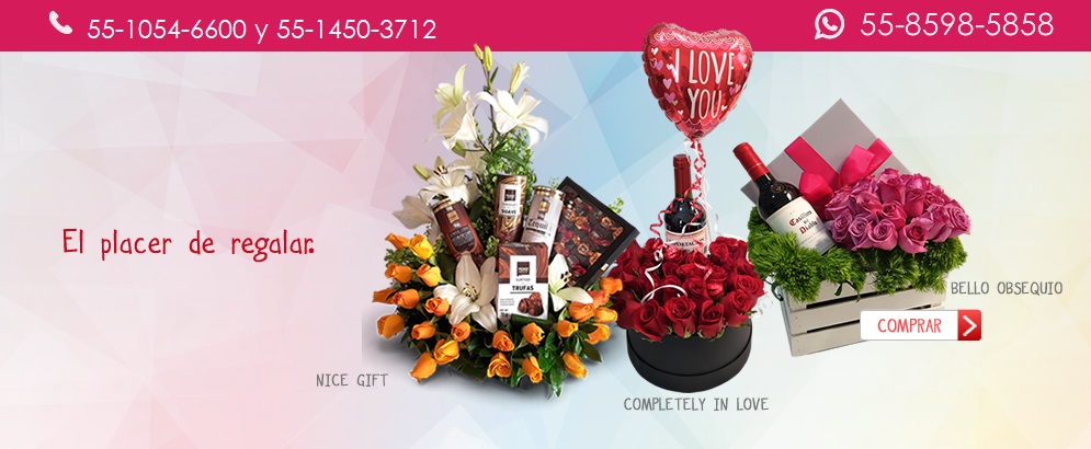 Florerias PicassoFlores.com - Compra en el mejor sitio de flores con ...